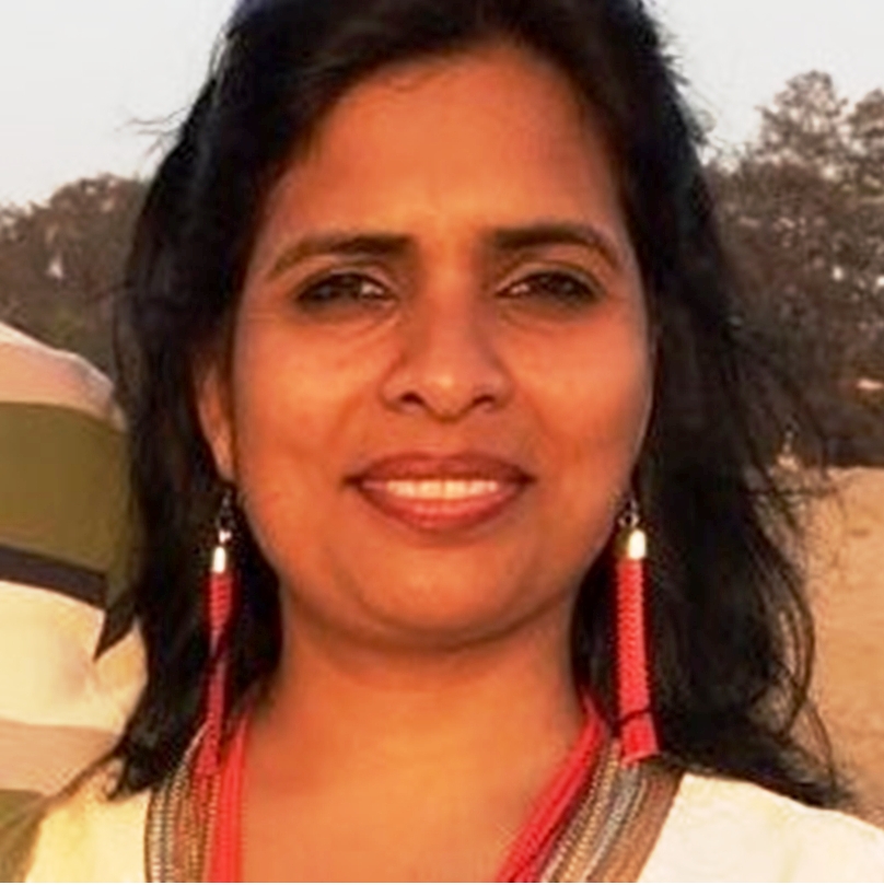 Pinkprint: Contributions and Challenges - International Conference of ...